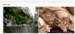 Apprendre à coder un template email responsive en HTML / CSS